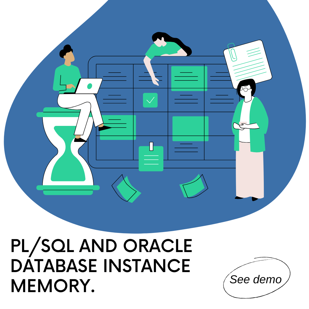 Pl Sql And Oracle Database Instance Memory